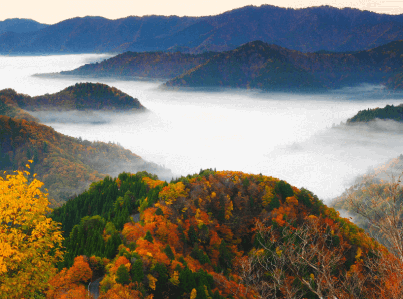 滋賀県 おすすめ紅葉スポット5選 ドライブ・ツーリングで紅葉狩りへ 車やバイクで行く紅葉名所 | gataｰlog